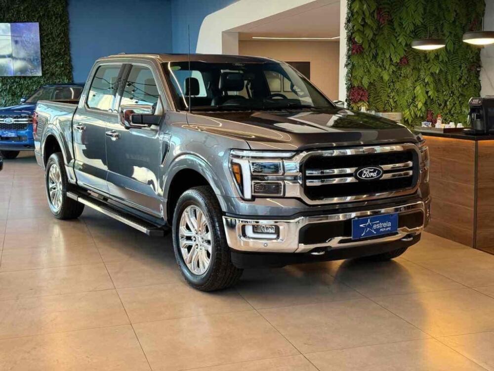 Ford F 150 5.0 Automático 24/24 Cinza - 4771578 - Belo Horizonte